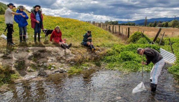 What is a catchment? Here's how to help your catchment thrive