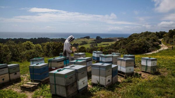 The story behind the Taste Pure Nature campaign - Our Land & Water ...