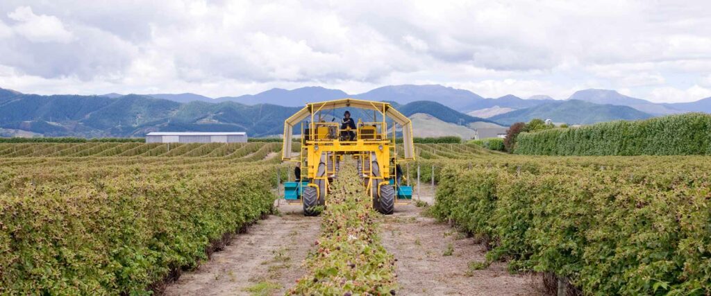 Regenerative Agriculture in Aotearoa NZ – Research Pathways to Build ...