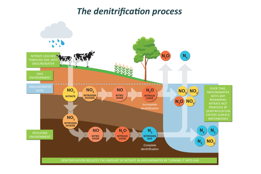 The denitrification process - Our Land & Water - Toitū te Whenua ...