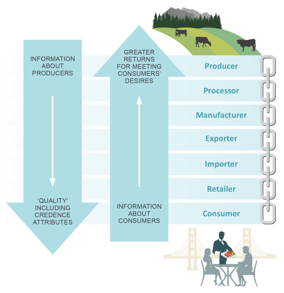 What is a value chain? - Our Land & Water - Toitū te Whenua, Toiora te Wai