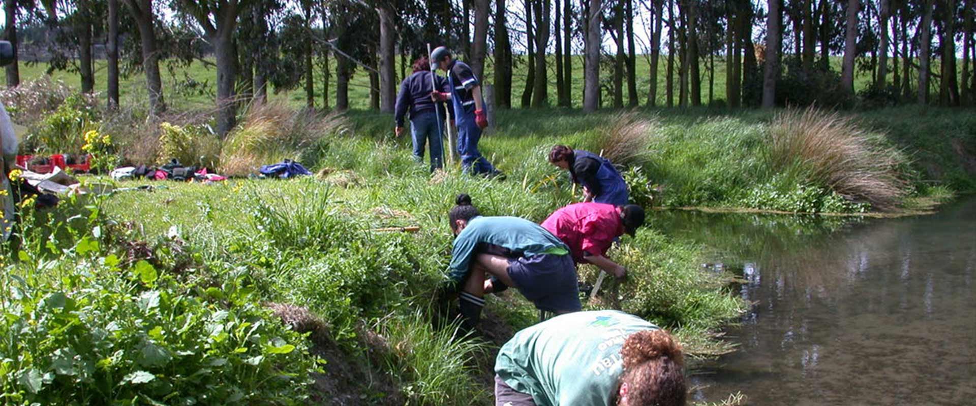 Mitigation - Our Land & Water - Toitū te Whenua, Toiora te Wai