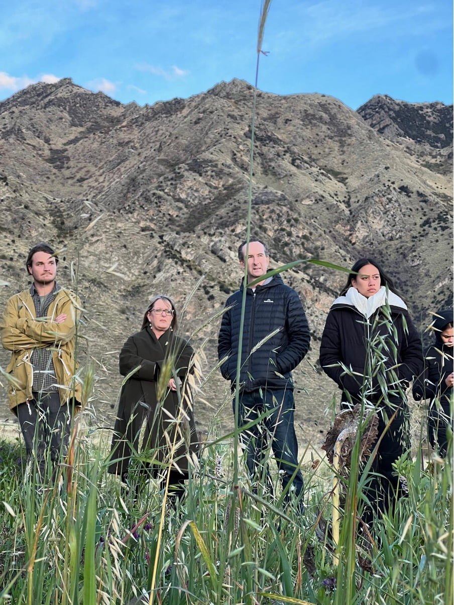 Reflections at the Mid-Point of Revitalise te Taiao - Our Land & Water ...