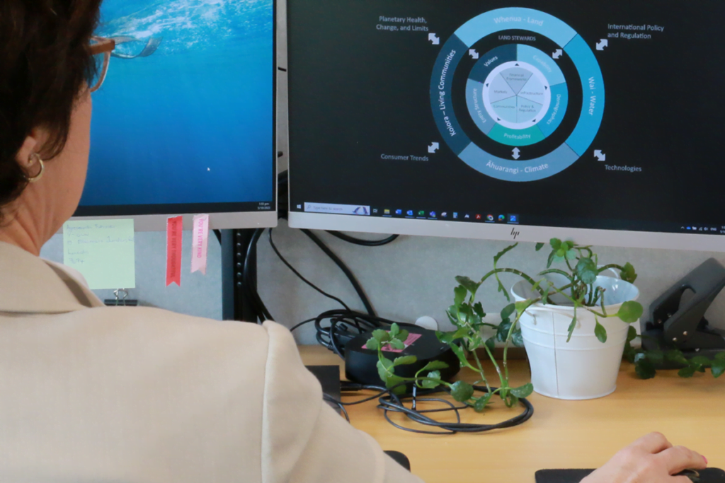 Revitalise Te Taiao - Our Land & Water - Toitū te Whenua, Toiora te Wai